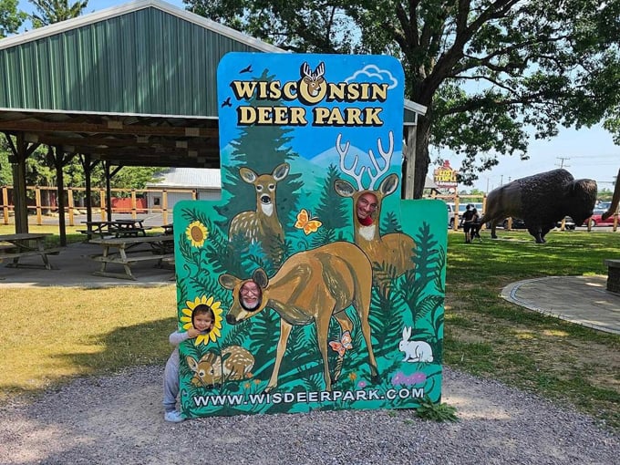 Wisconsin Deer Park 2