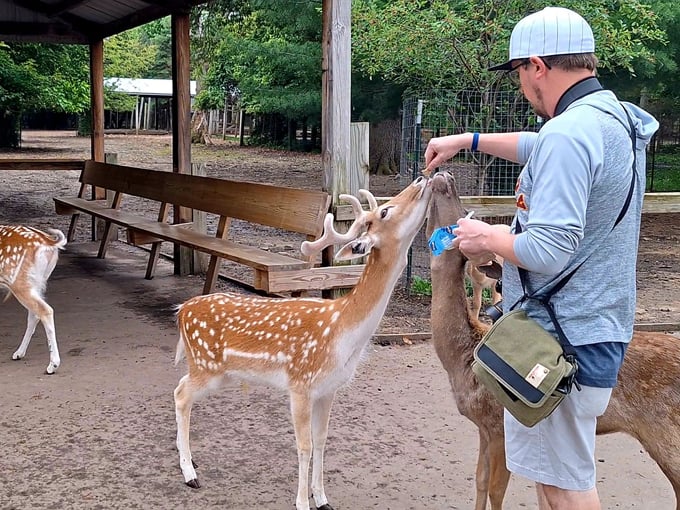 Wisconsin Deer Park 5