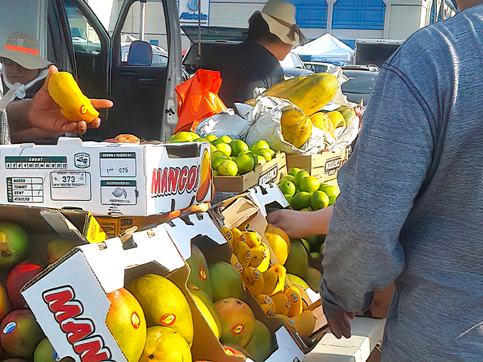 Wolff's Flea Market 7