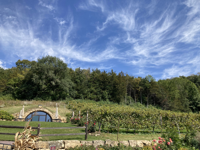 Wollersheim Winery 9