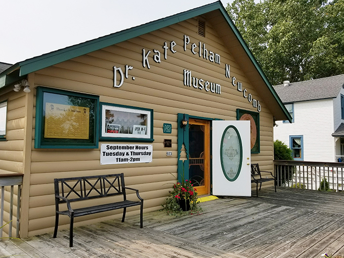 World’s Largest Penny 5