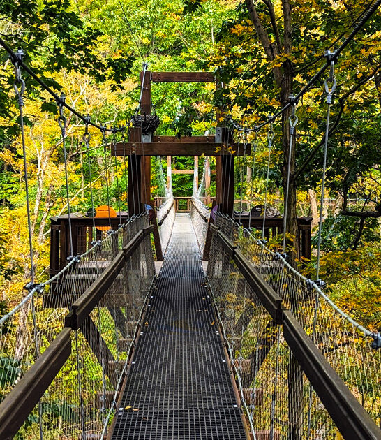 beautiful treetop walkway ohio ftr