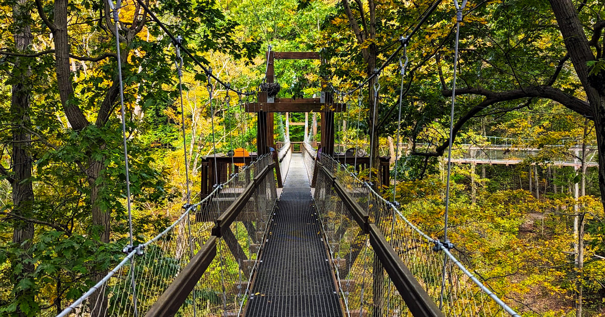The 65-Foot-High Treetop Walkway In Ohio That’s Beautiful Almost Any ...