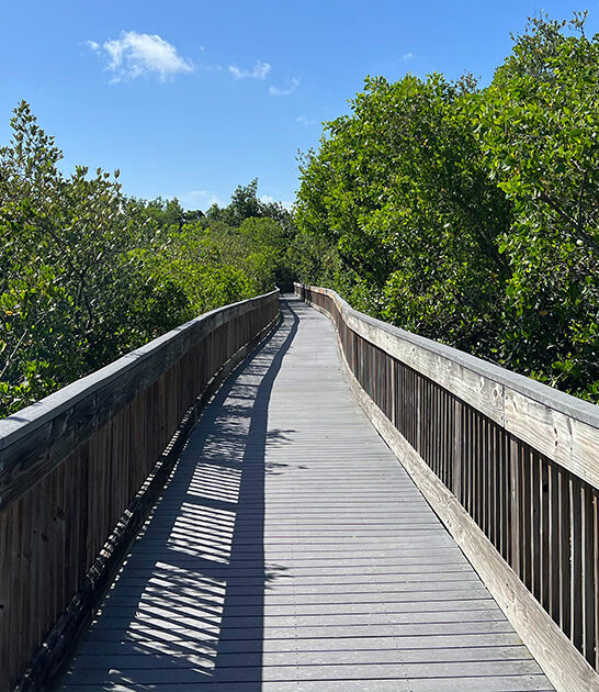 beginner boardwalk trail florida ftr