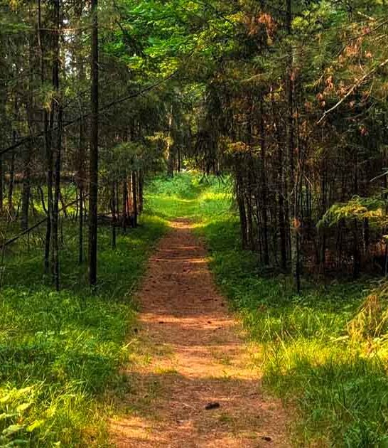 beginner friendly trail minnesota ftr