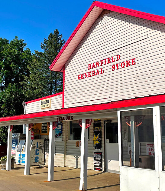 best subs pizza michigan ftr