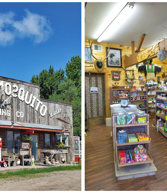 bizarre-antique-shop-minnesota FTR