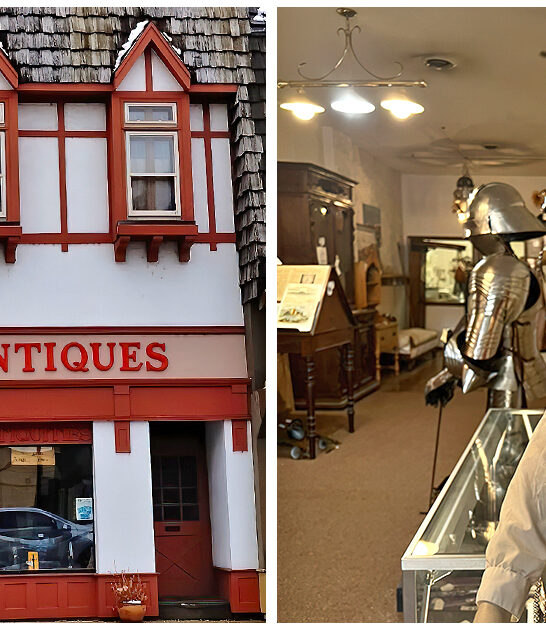 bizarre-antique-shop-wisconsin ftr
