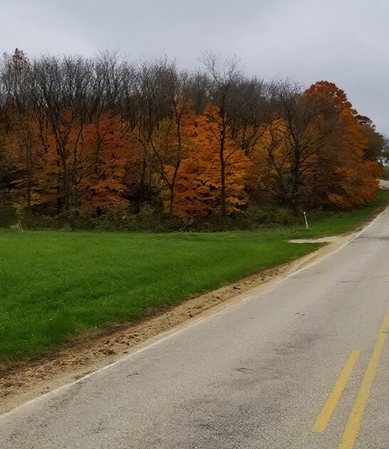 bizarre mysterious road wisconsin ftr