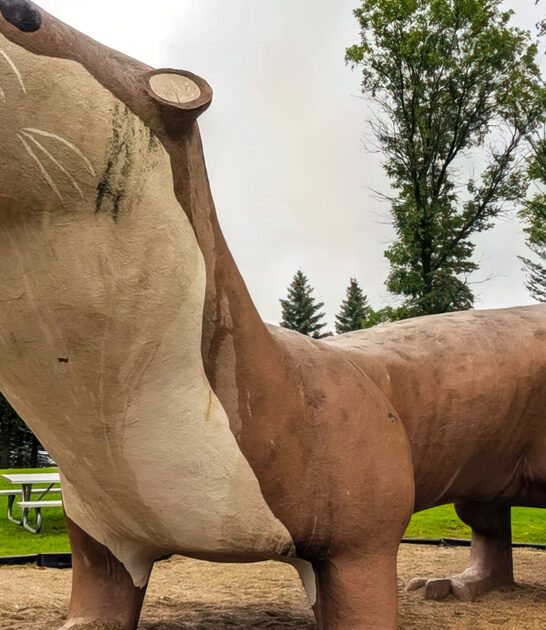 bizarre roadside attractions minnesota ftr