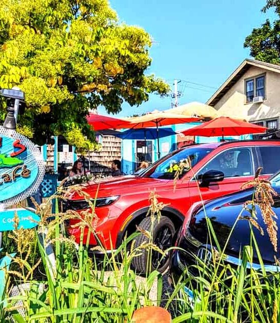 caribbean themed cafe minnesota ftr