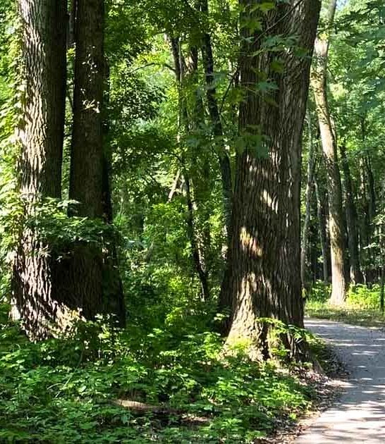 cave waterfall hike minnesota ftr