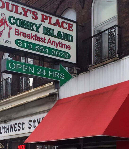coney dogs diner michigan ftr