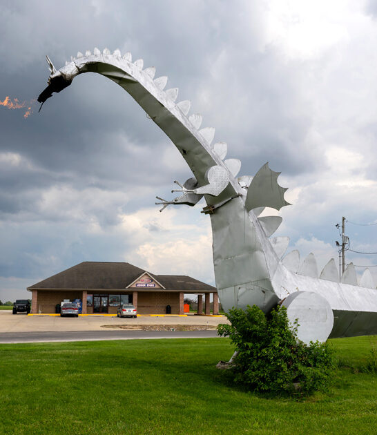coolest metal dragon illinois ftr