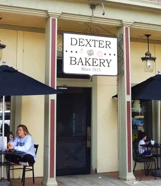 delicious apple fritters michigan ftr