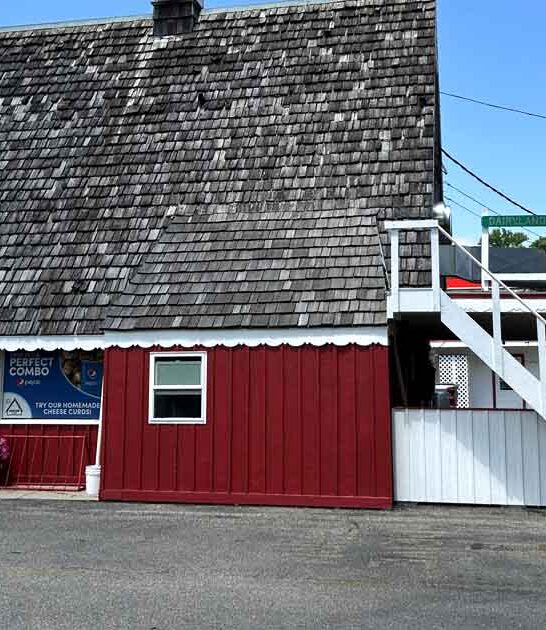 delicious cheese curds minnesota ftr