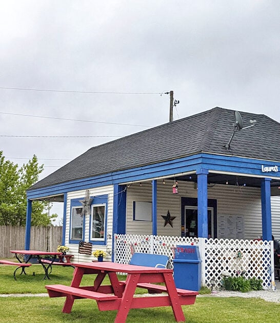 delicious cheeseburgers michigan ftr