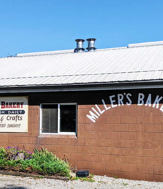donuts amish bakery ohio ftr