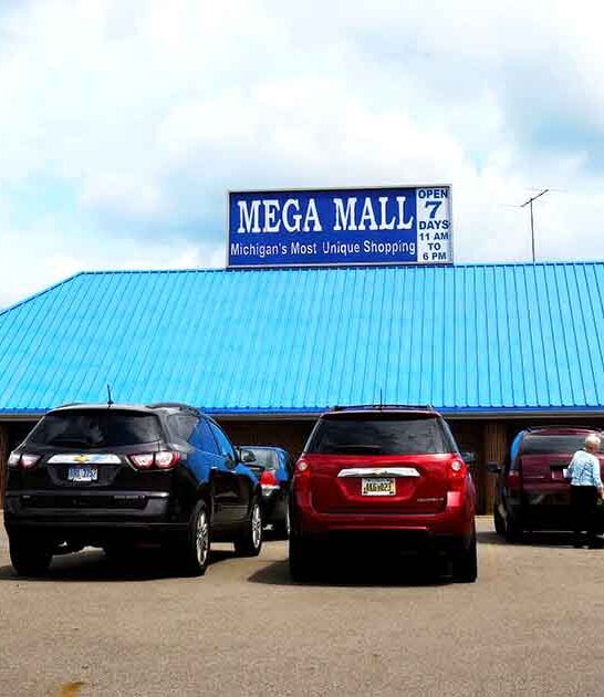 enormous antique mall michigan ftr