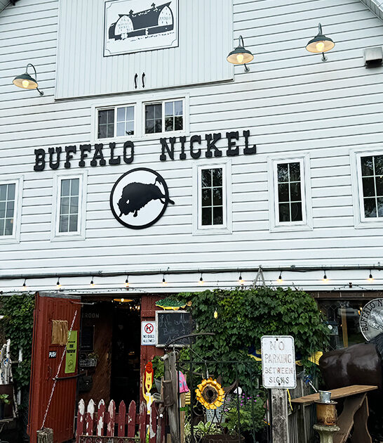 enormous antique store minnesota ftr