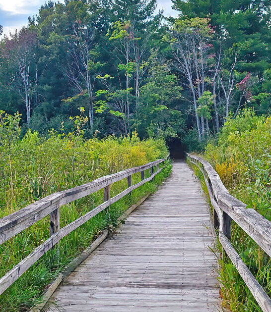 explore breathtaking views michigan ftr