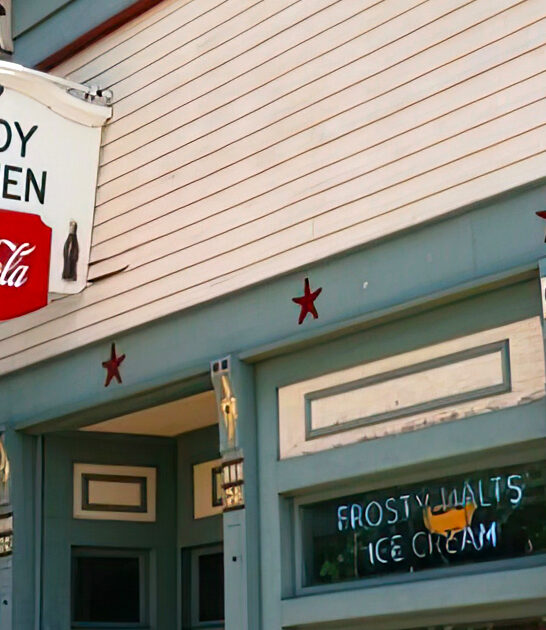 fascinatingly unusual airbnb illinois ftr