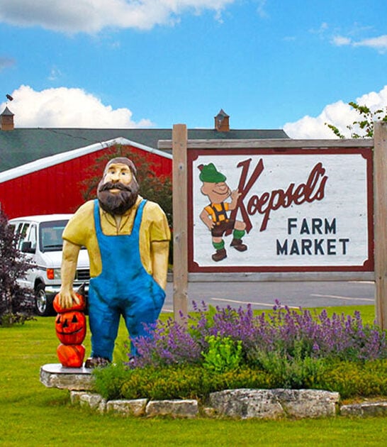 freshest jams wisconsin ftr