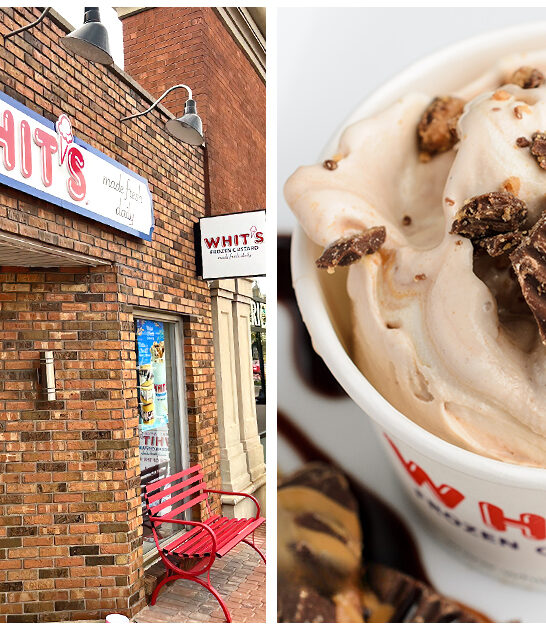 frozen-custard-shop-michigan ftr