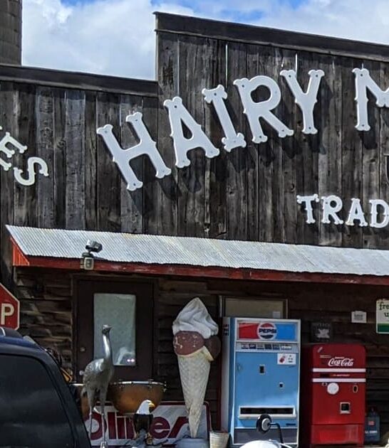 funky antique store minnesota ftr