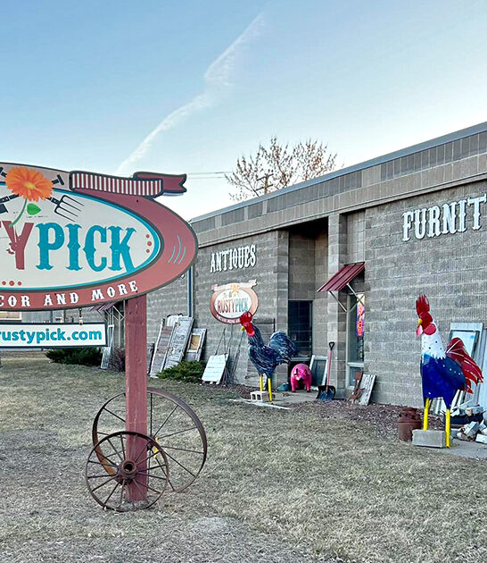 funky minnesota antique store ftr