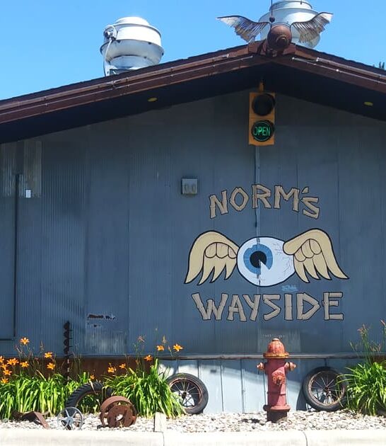 funky roadside bar minnesota ftr