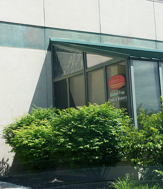 gluten free donuts michigan ftr