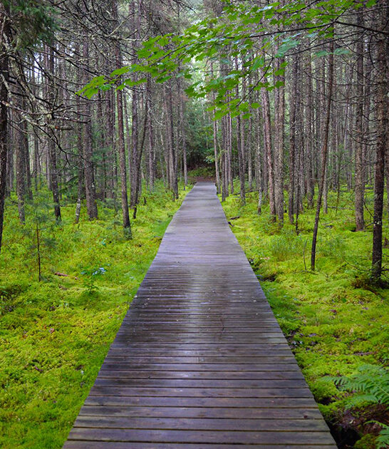hidden enchanting trail wisconsin ftr