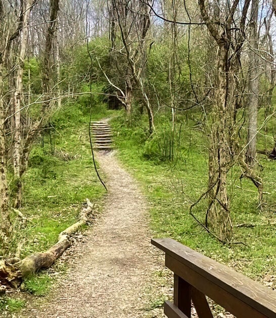 hidden picturesque trail ohio ftr
