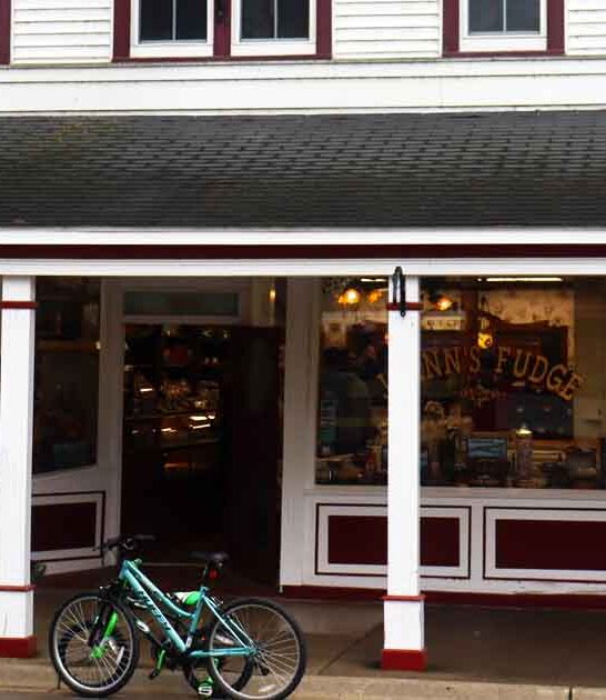 iconic candy shop michigan ftr