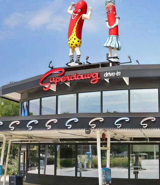 illinois chicago style dog ftr