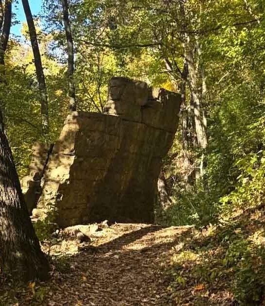illinois gorgeous forest overlook ftr
