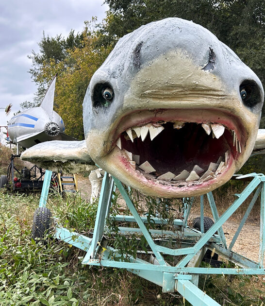 junkyard theme park minnesota ftr