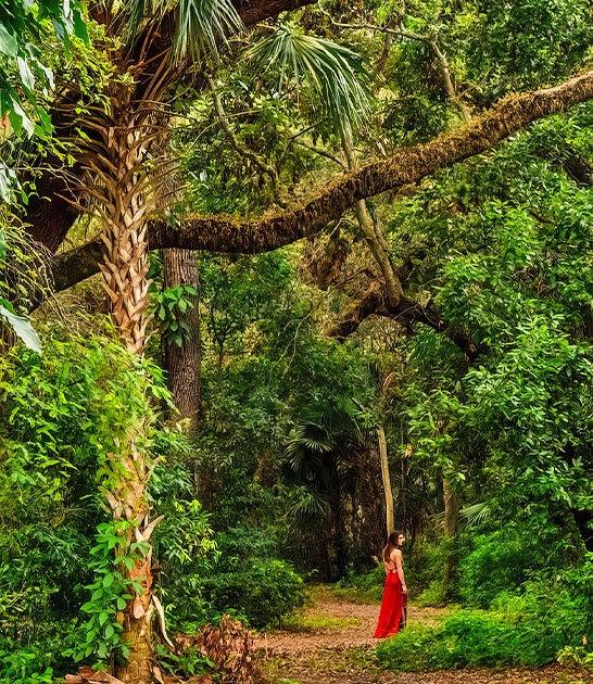 large enchanting park florida ftr