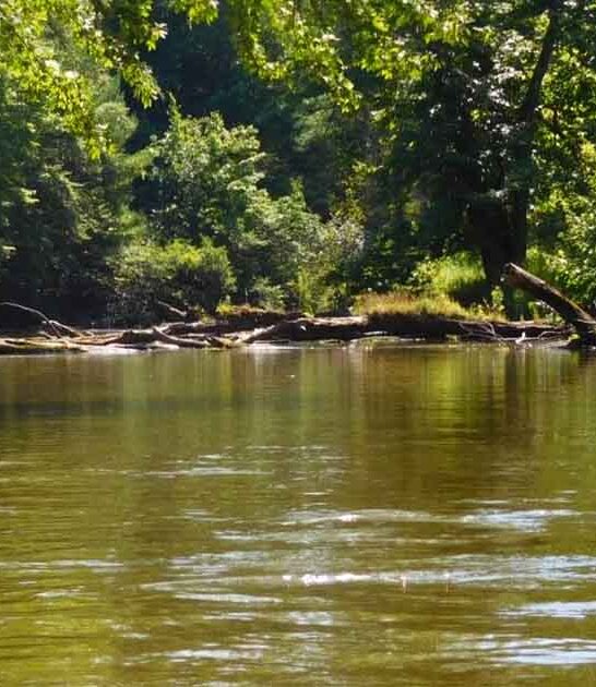 lazy river tubing michigan ftr