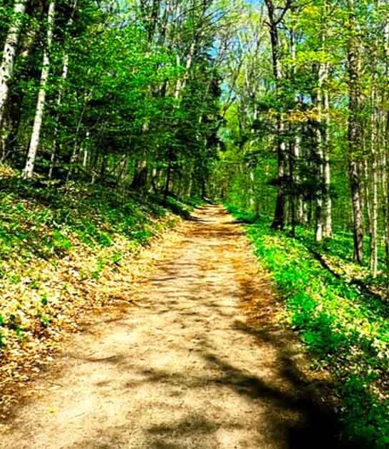 little known trail michigan ftr