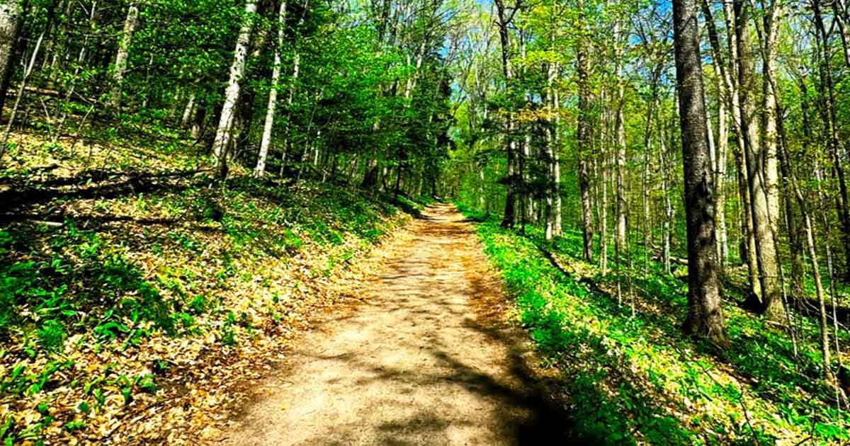 This Little-Known Trail In Michigan Will Enchant You With Its ...
