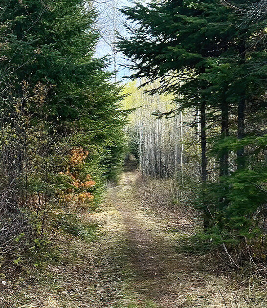 little known trail minnesota ftr