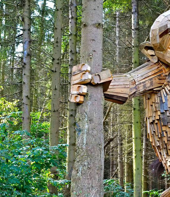 magical giant trolls minnesota ftr