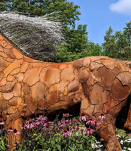 magical sculpture garden wisconsin ftr