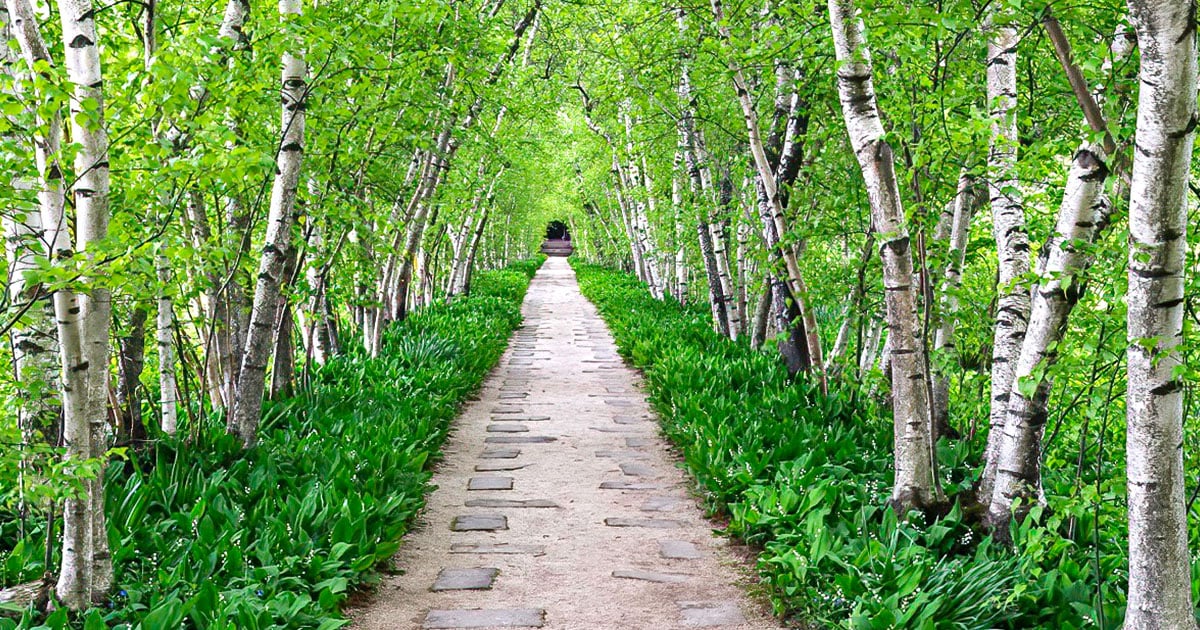 This Magical Tree Tunnel In Ohio Is One Of The Best-Kept Secrets In The ...