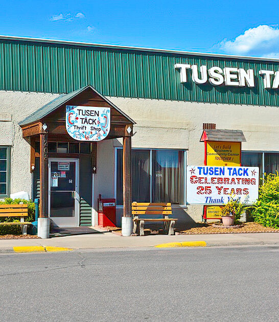 massive minnesota thrift shop ftr