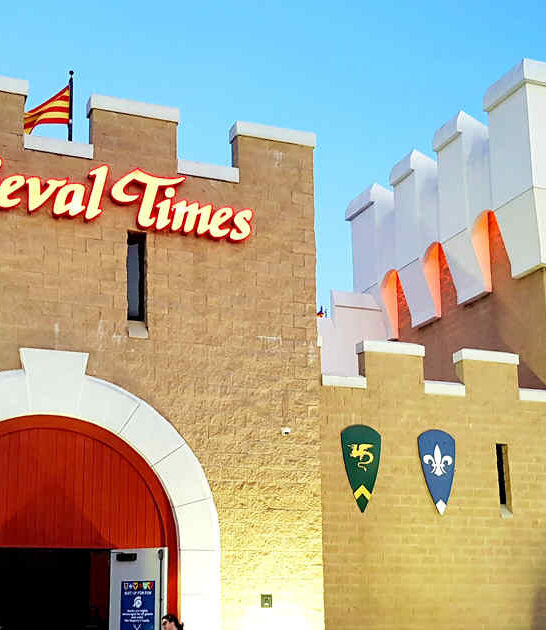 medieval themed restaurant illinois ftr