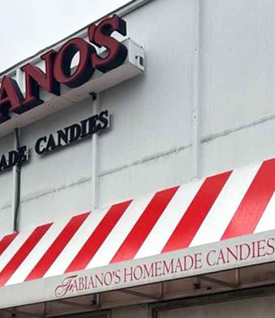 michigan delicious handmade chocolates ftr