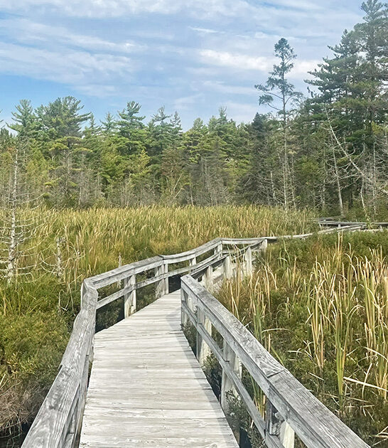 michigan easy boardwalk trail ftr
